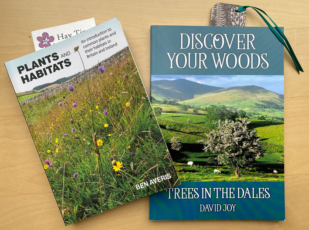 The Flora of Bilberry Wood – Wild Yorkshire